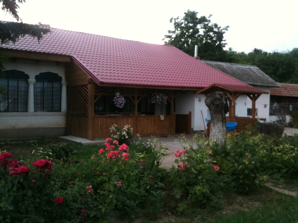 Terasa rustica din lemn de rasinoase | Foisoare din lemn, Garduri din ...